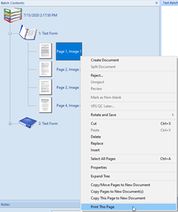 Bluelake Document Print for Kofax Print from Kofax